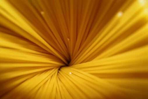 Receta de pasta con queso azul y champiñones ¡deliciosa!